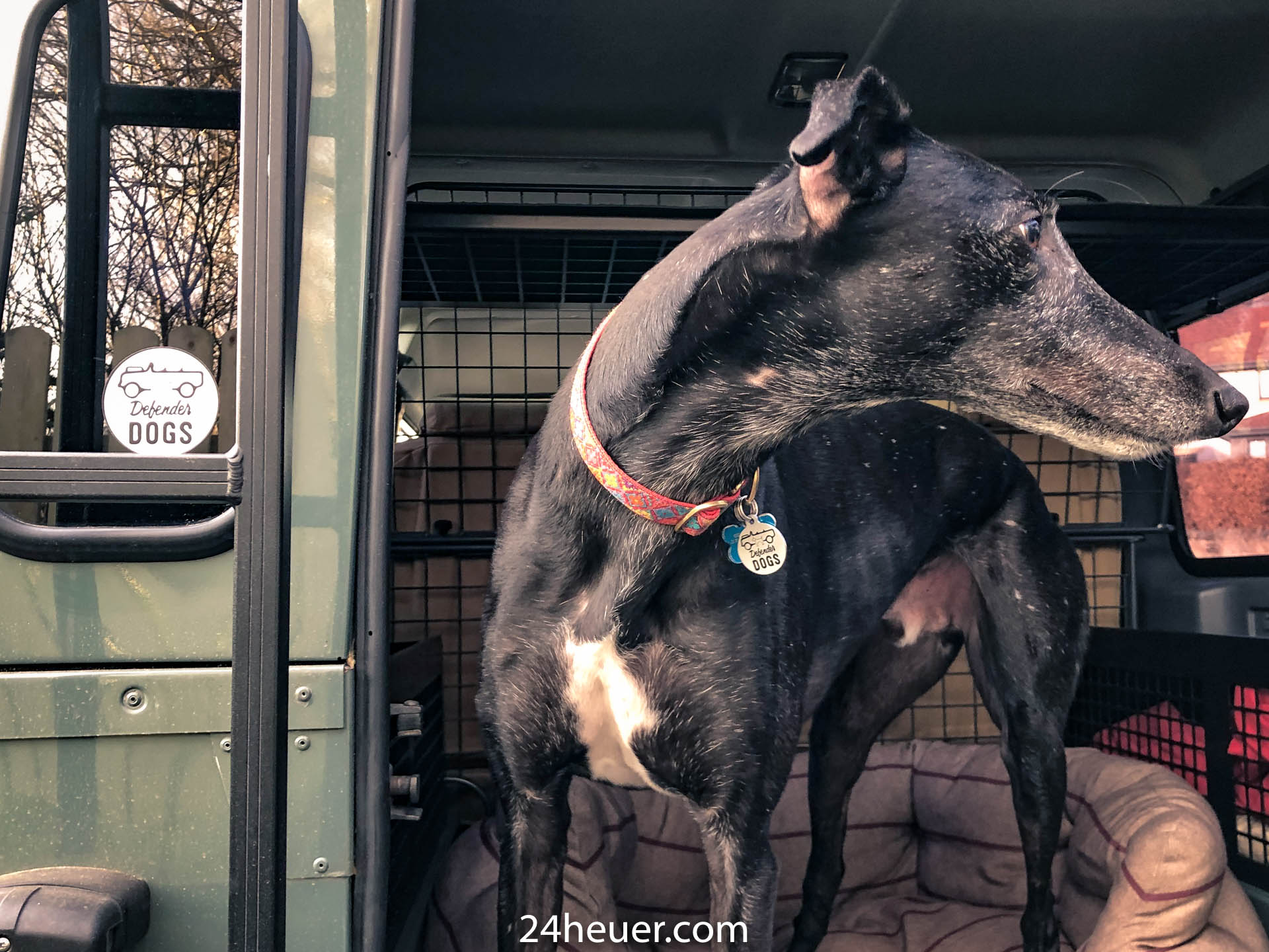 #Defender_Dogs – 24Heuer